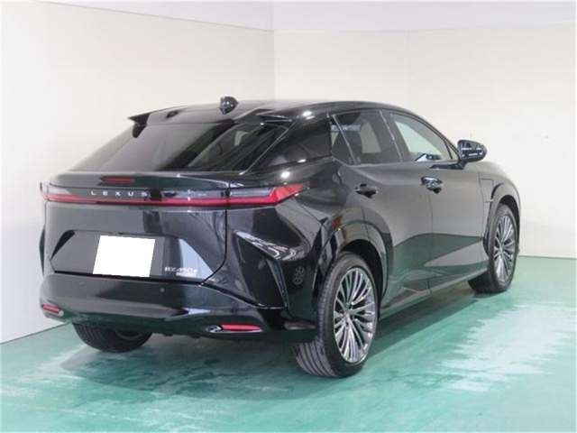 LEXUS RZ 2024 - 2000 km | Japanese Used Car Stock | Loginet